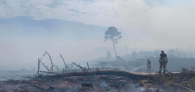 Dorset & Wiltshire Fire Service | Wareham Forest fire