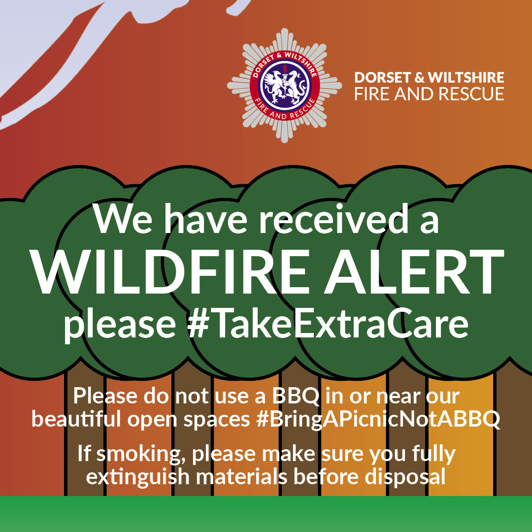 Dorset & Wiltshire Fire Service | Social media material June 2024