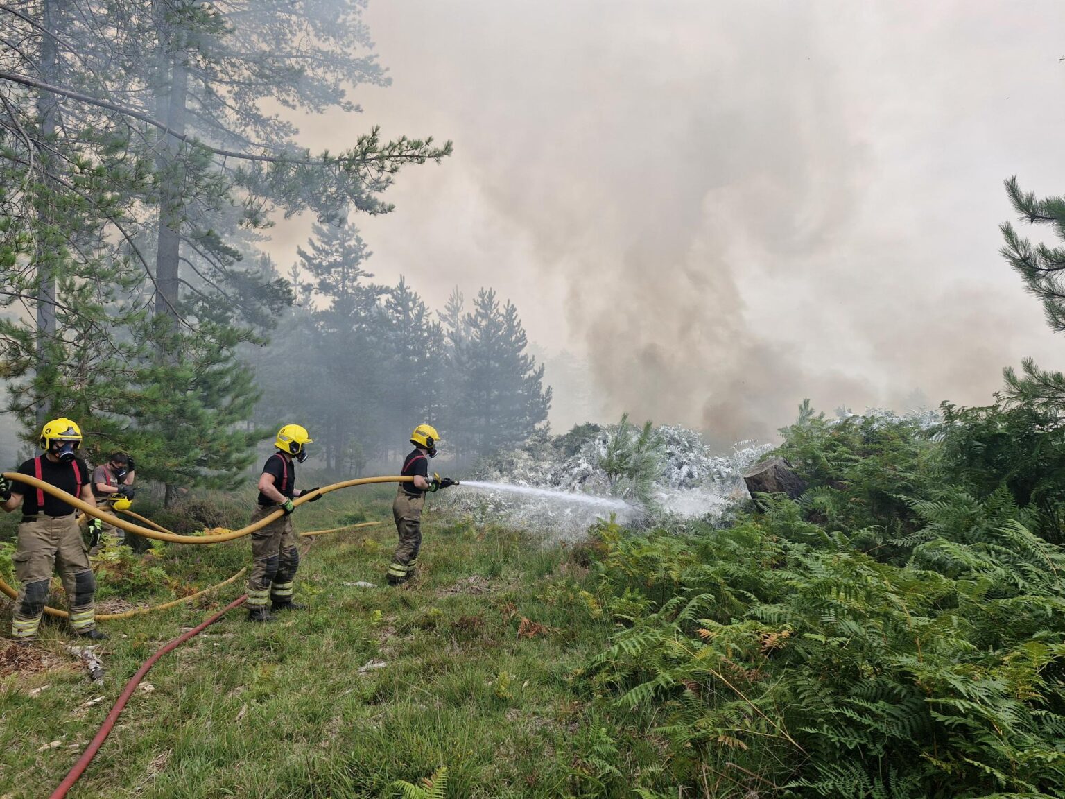 Dorset & Wiltshire Fire and Rescue Service | Fire at Newton Heath