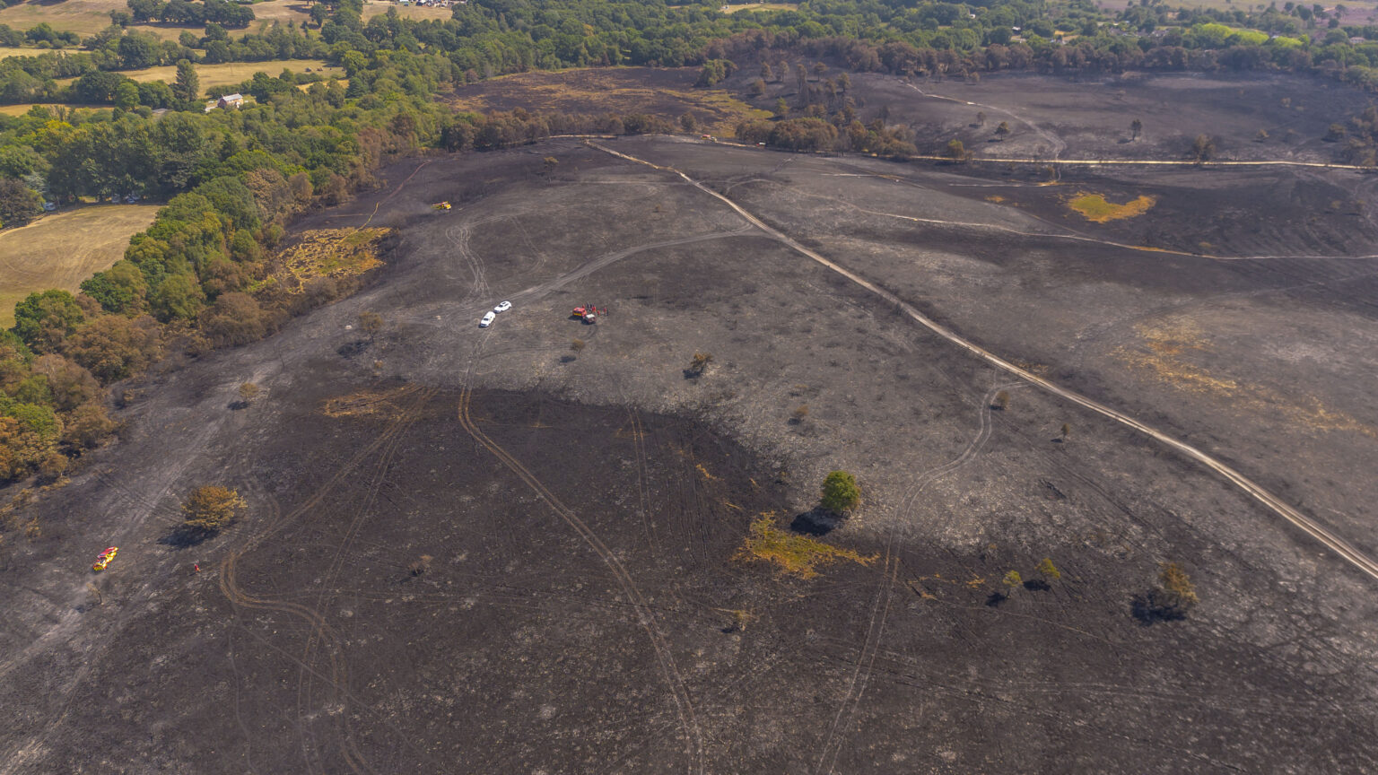 Dorset & Wiltshire Fire Service | Holt Heath