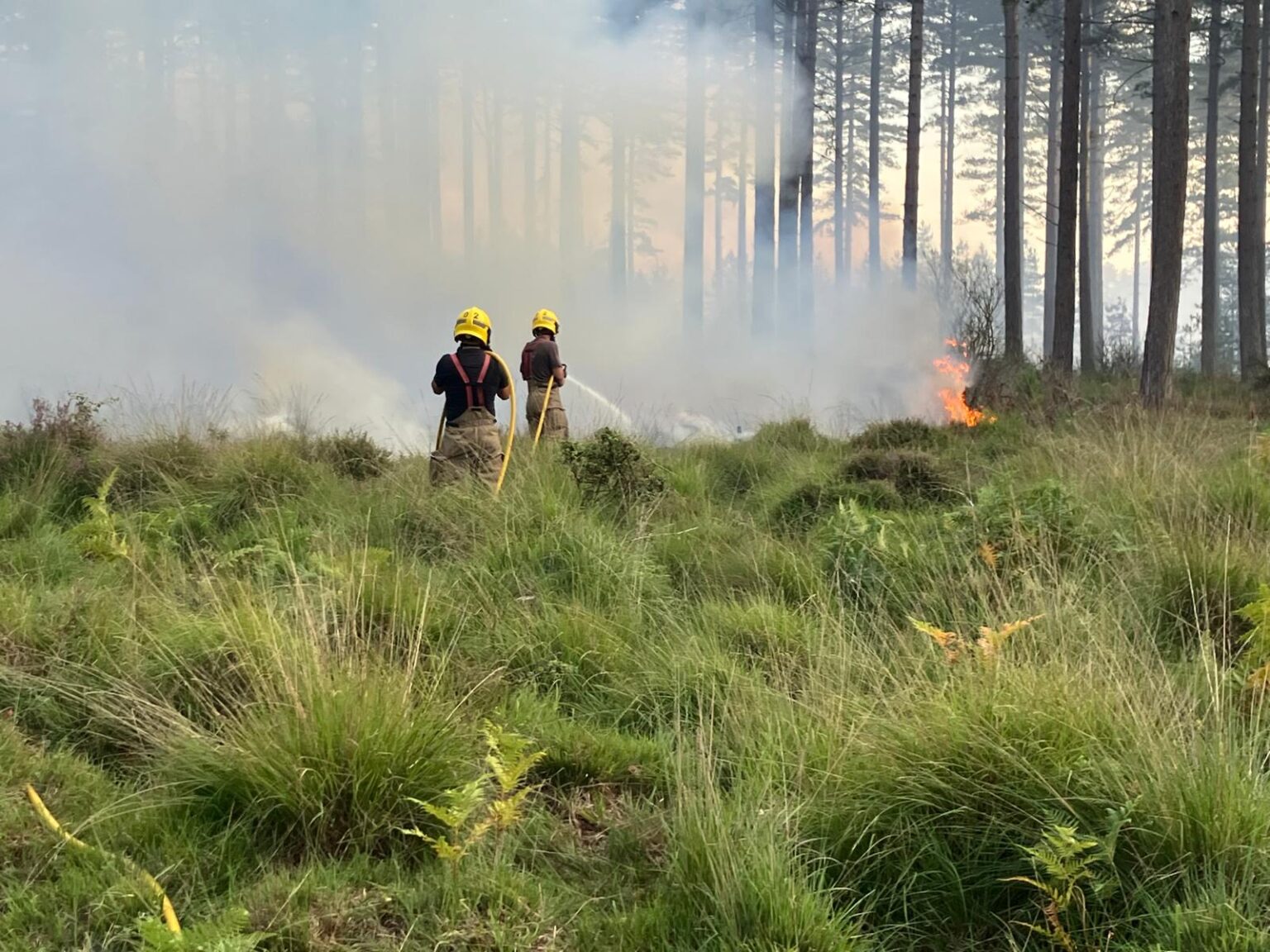 Dorset & Wiltshire Fire Service | Fire at Newton Heath